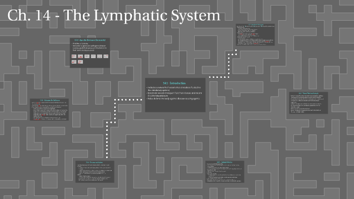 Ch. 14 - The Lymphatic System by on Prezi