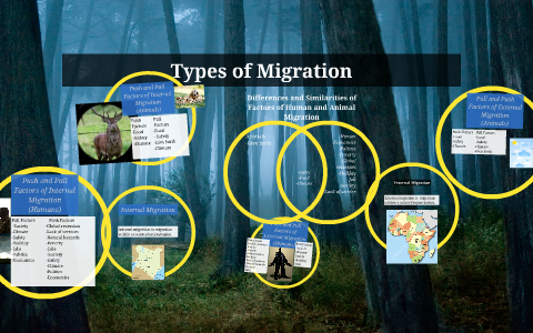 Types of Migration by armaan khan