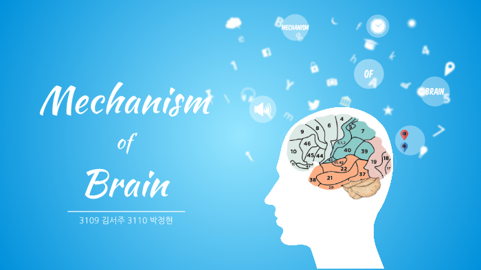 mechanism of brain by 서주 김 on Prezi