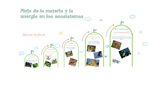 Flujo de la materia y la energía en los ecosistemas by alejandro ...