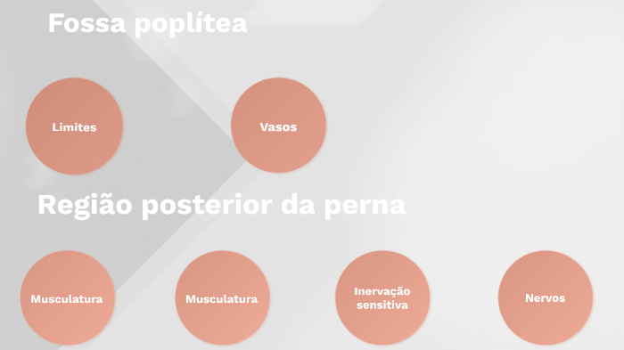 REGIÃO POPLÍTEA E REGIÃO POSTERIOR DA PERNA by Júlia Ferreira de Sousa ...