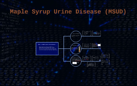 Maple Syrup Urine Disease (MSUD) by Rebecca Gheorghe on Prezi