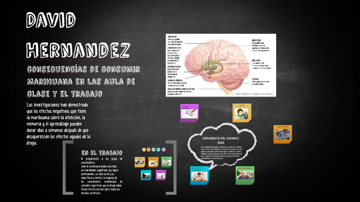 David Hernandez by jesus david hernandez niño