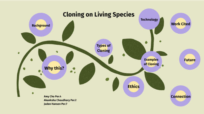 Making Connections Project- Amy Cho, Akanksha Choudhary by Amy Cho on Prezi