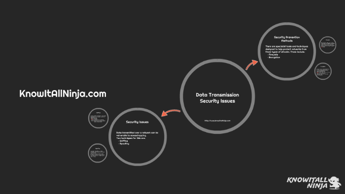 Data Transmission Security Issues by KnowItAll Ninja Data Transmission Security Issues by KnowItAll Ninja