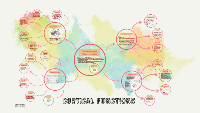CORTICAL FUNCTIONS by Stephanie Grace on Prezi
