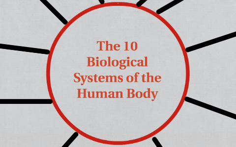 The 10 Biological Systems of the Human Body by Kate Boyce on Prezi