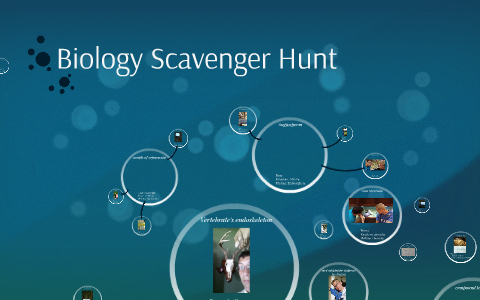 Biology Scavenger Hunt by on Prezi