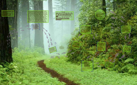 "Directive" by Robert Frost by Son Dinh on Prezi