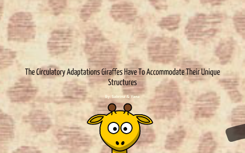 A Giraffe's Circulatory System by yana a on Prezi