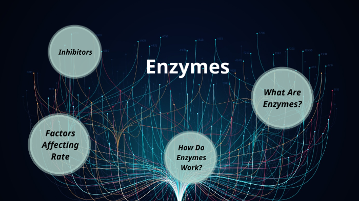 Enzyme Mind Map by Arpan Sidhu on Prezi
