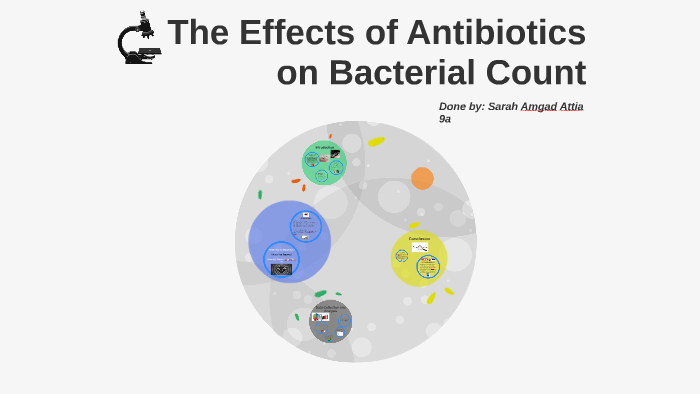 The Effects of Antibiotics on Bacterial Count by Sarah Amgad on Prezi