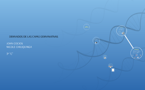 DERIVADOS DE LAS CAPAS GERMINATIVAS by john cocios on Prezi