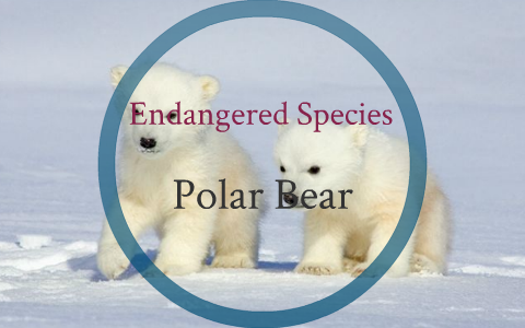 Endangered/Invasive species project by Luis Regalado on Prezi