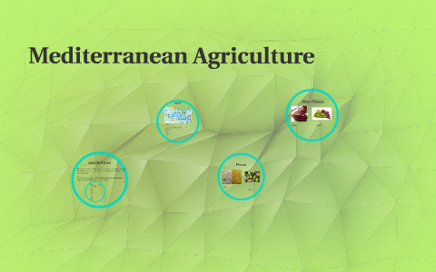 Mediterranean Agriculture by Hamaad Khan on Prezi