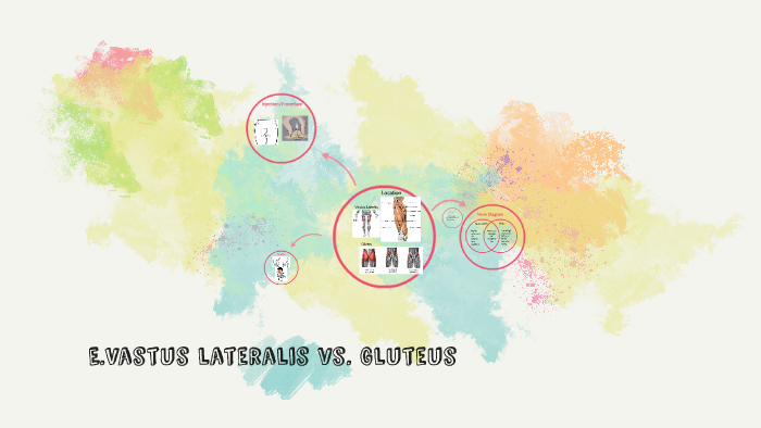 Vastus lateralis vs. Glutes by Shea Barrett on Prezi