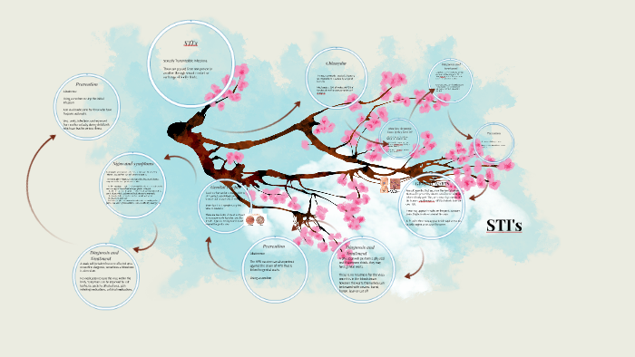STI's by Lucy Chaffer on Prezi
