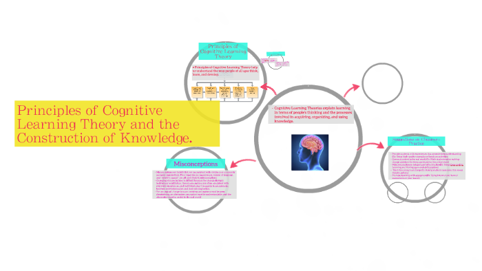 Principles of Cognitive Learning Theory and the Construction by ...