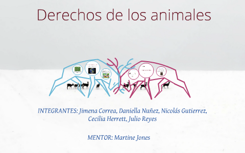 Derechos De Los Animales by Derechos de los Animales on Prezi
