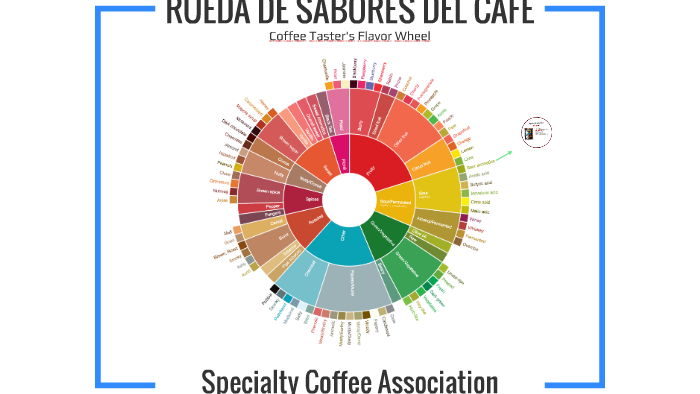 RUEDA DE SABORES DEL CAFÉ by Kenny Cruzado on Prezi