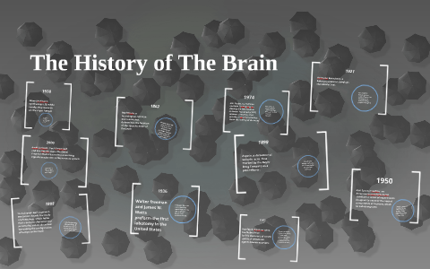 The History of The Brain by Noah Loftspring on Prezi