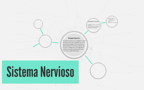 Potencial de membrana by Alejandro Zapiain on Prezi