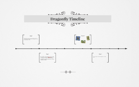 Dragonfly Timeline by Morgan Jones on Prezi