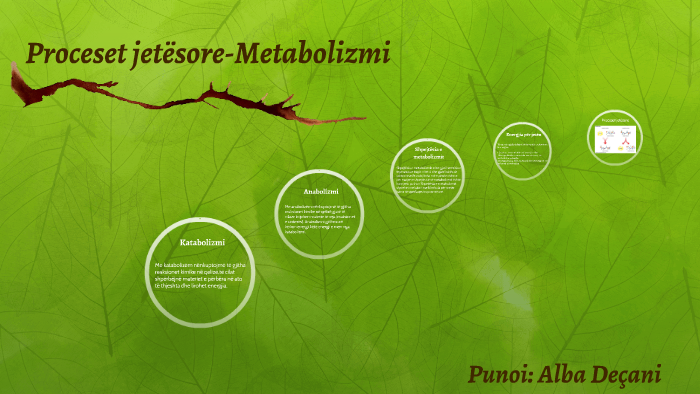 Proceset jetësore-Metabolizmi by on Prezi