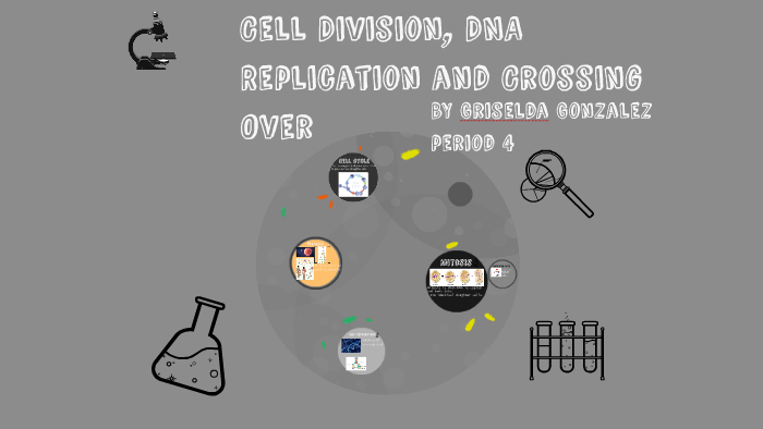 Bbc Bitesize Gcse Biology Dna And Cell Division