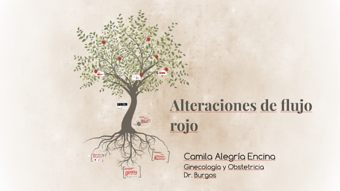 Alteraciones de flujo rojo by Pia Bozzolo on Prezi