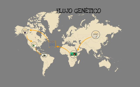 FLUJO GENÉTICO by Vanesa Hernández on Prezi
