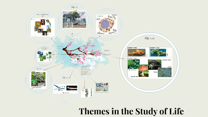 Chapter 1 Themes in the study of life by Nirupama Narayanan