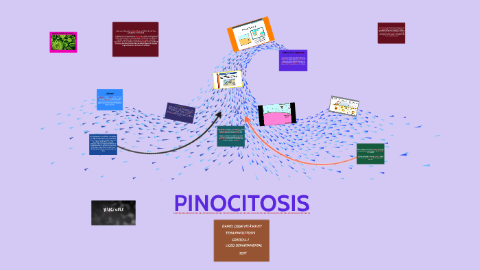 PINOCITOSIS by Daniel Ossa on Prezi