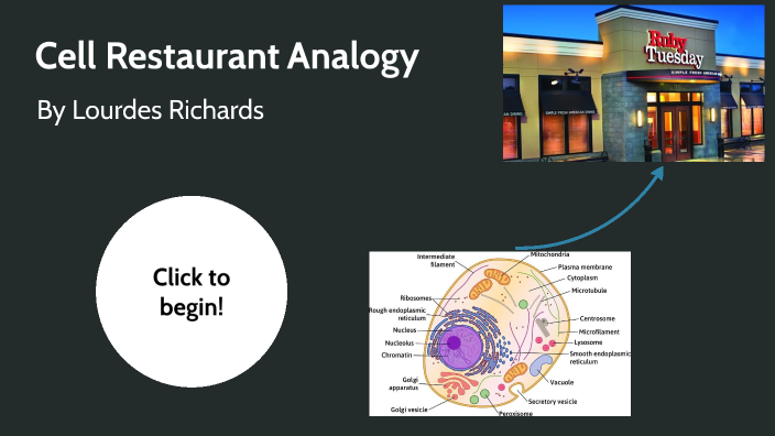 Cell Analogies Project by Lourdes Richards on Prezi