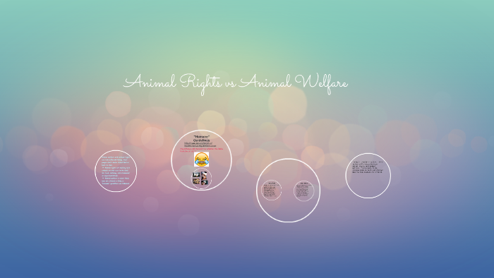 Animal Rights vs Animal Welfare by Katherine Philman on Prezi