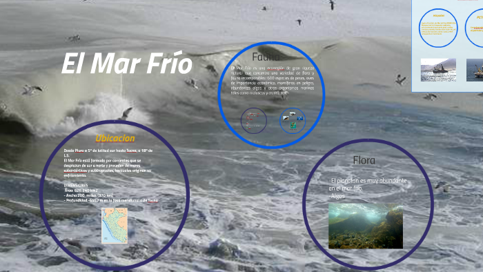 Mar Frio by Andre Cordova on Prezi