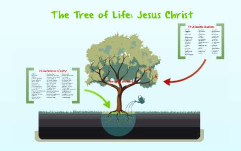 The Tree of Life: Jesus Christ by Anna M.