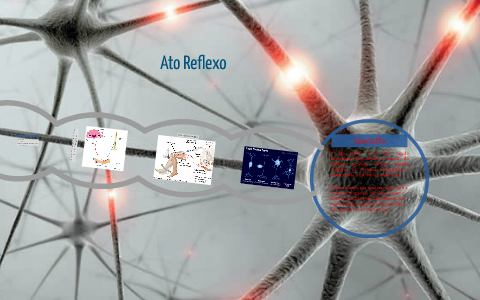 Ato Reflexo by Paulo Leal on Prezi