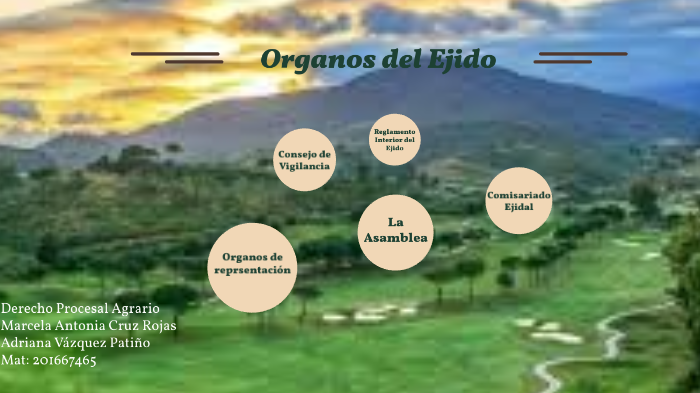 Organos del Ejido by Adriana Vazquez on Prezi