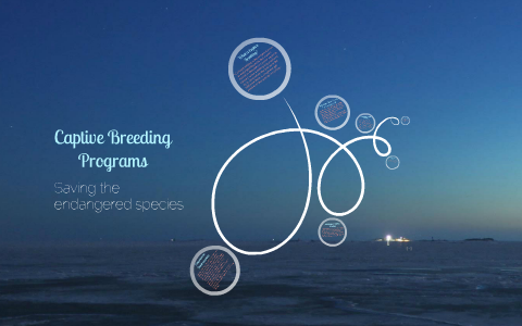 Captive breeding programs for endangered wild species by Alex ...