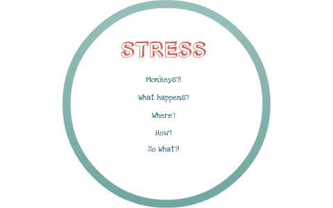 Monkeys, Stress, and the Brain by Kathleen Littleton