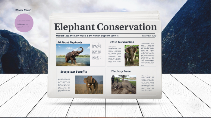 Elephant Conservation by Alyssa Reiter on Prezi
