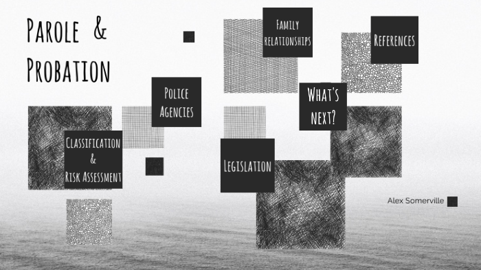 Parole and Probation: Risk Assessment and Reintegration by alex ...