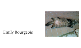 Making a Prezi by Emily Bourgeois on Prezi