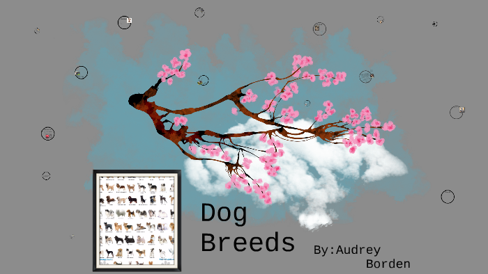 Dog Breeds by Karen Clark on Prezi