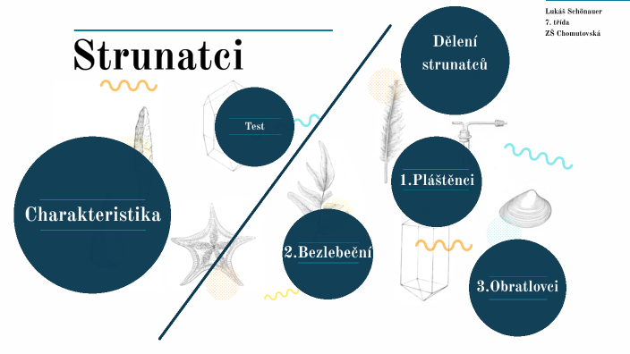 7. tř- Strunatci by Lukáš Schönauer on Prezi