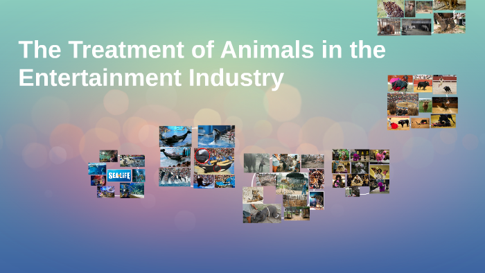 The treatment of animals in the entertainment industry by Michelle ...
