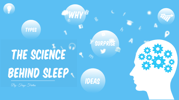 The Science Behind Sleep by Tiago Freitas on Prezi The Science Behind Sleep by Tiago Freitas on Prezi