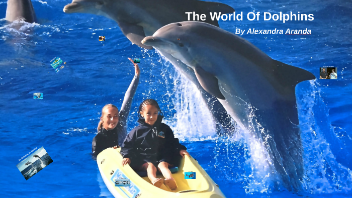 Dolphins by Alexandra Aranda on Prezi