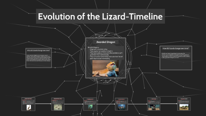 Evolution of the Lizard-Timeline by Yafet Boiani on Prezi